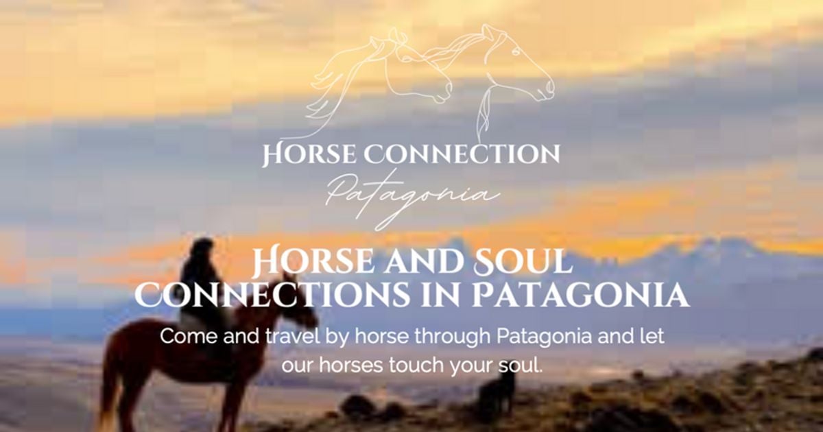 Horse Connection Patagonia